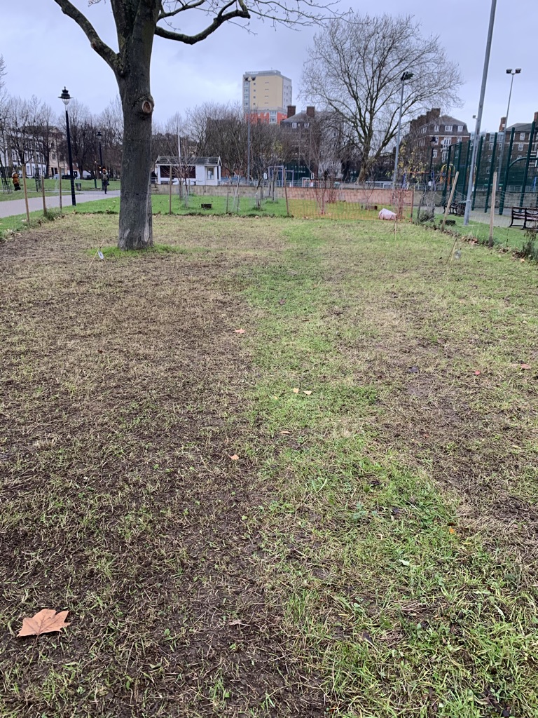 How to restore a meadow, part two – clearing the débris – Rewilding the ...
